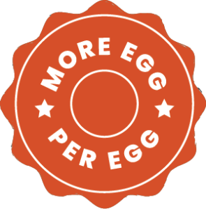 About | Hello Eggs